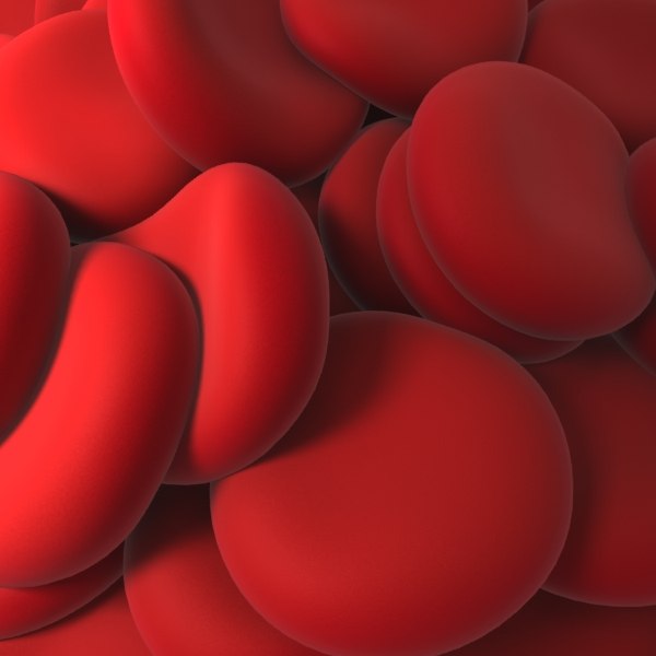 red blood cells 3d model