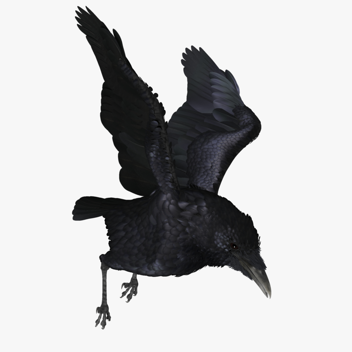 realistic raven 3d ma