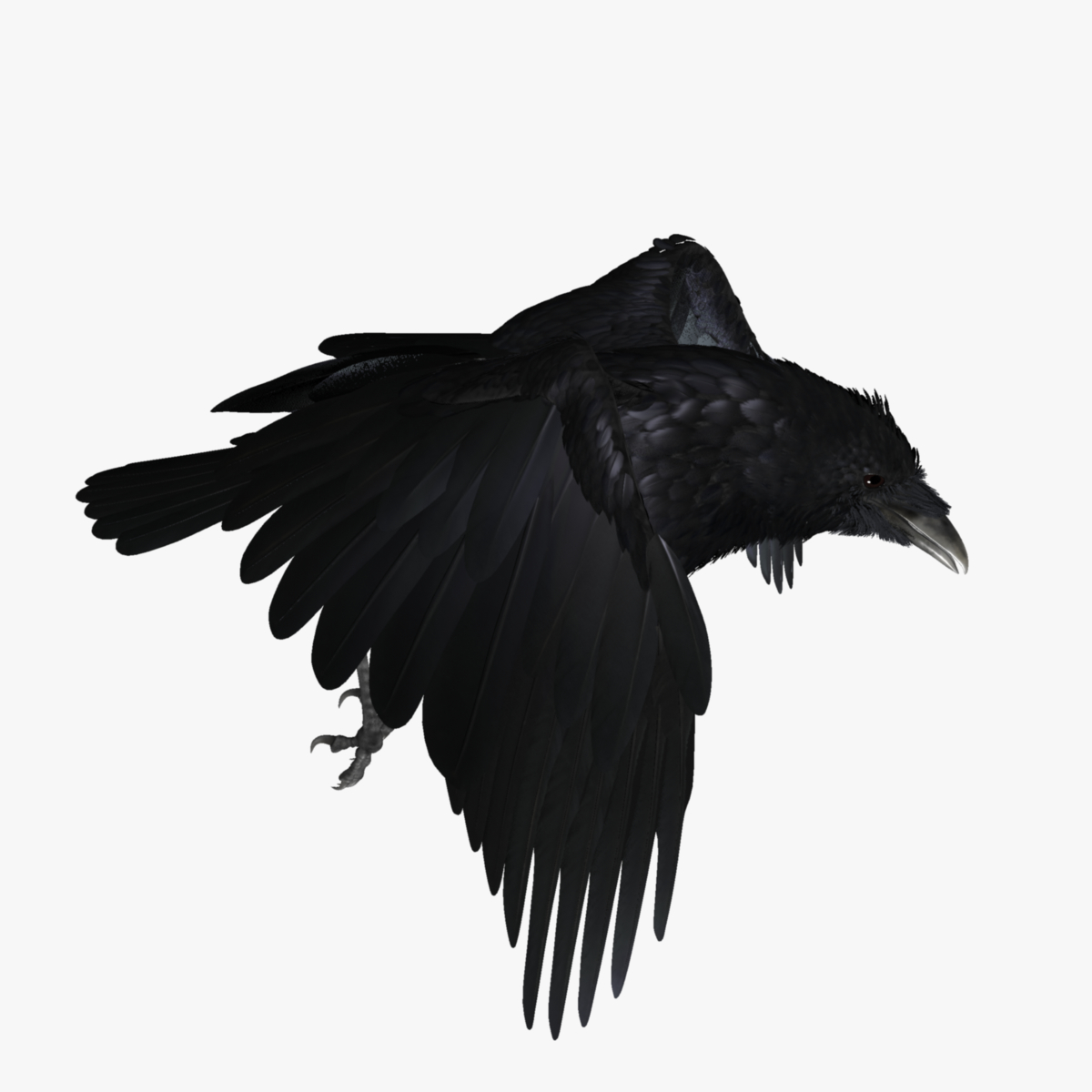 realistic raven 3d ma