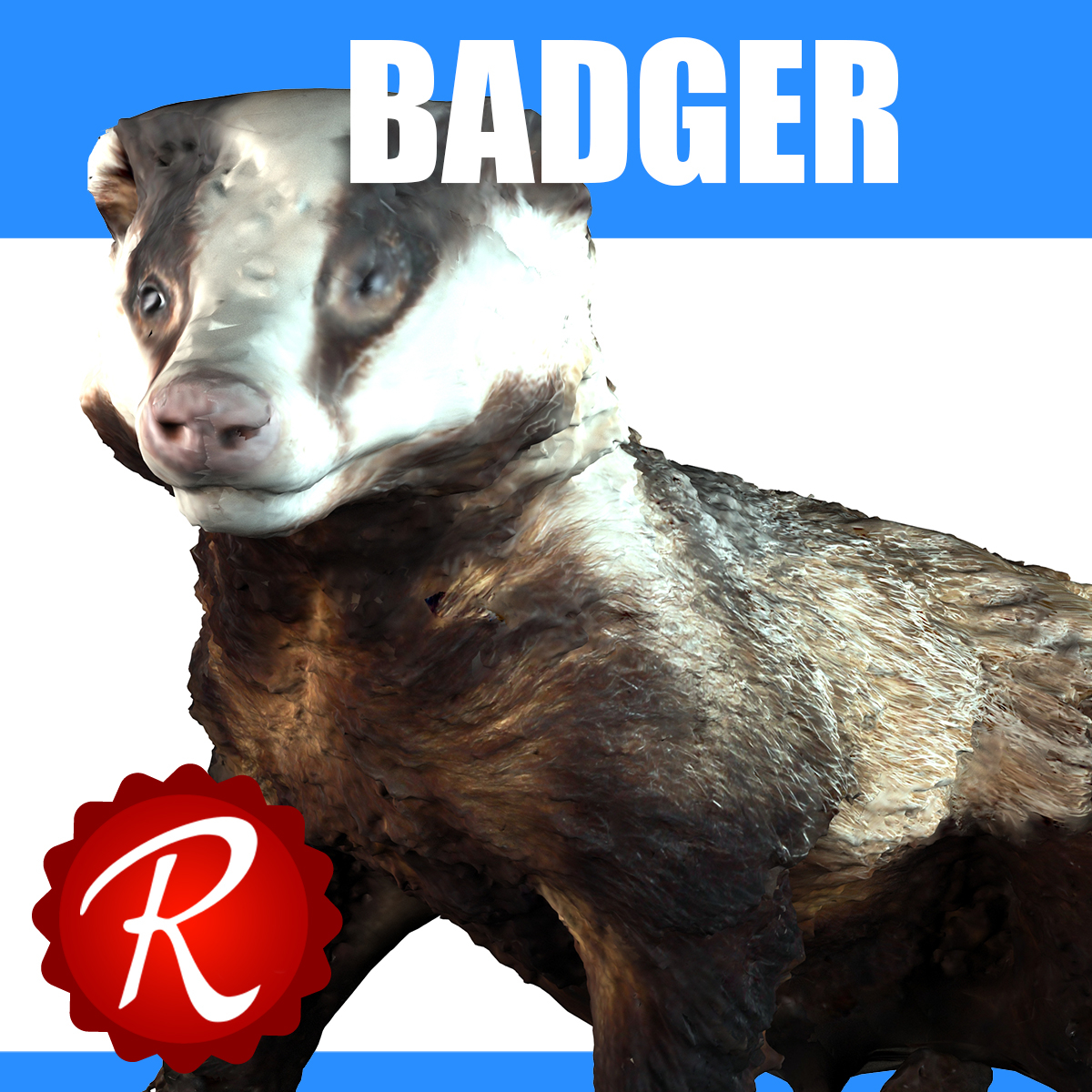 3d badger model