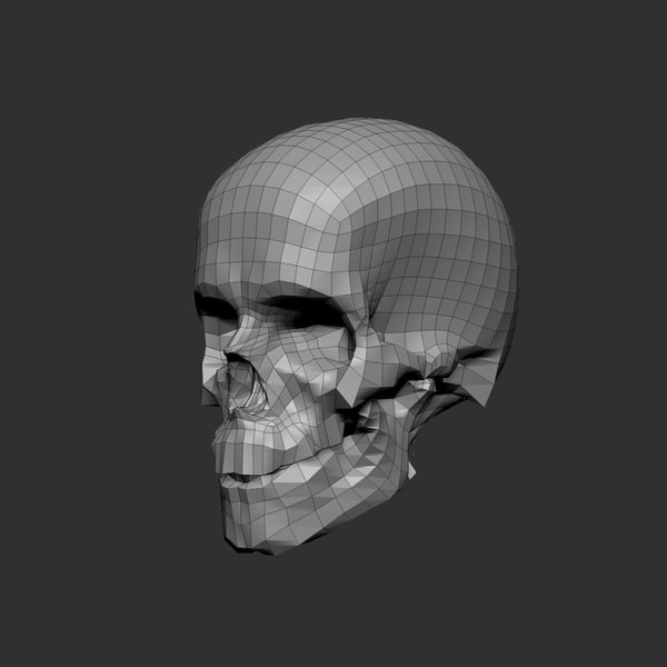 scull 3d obj