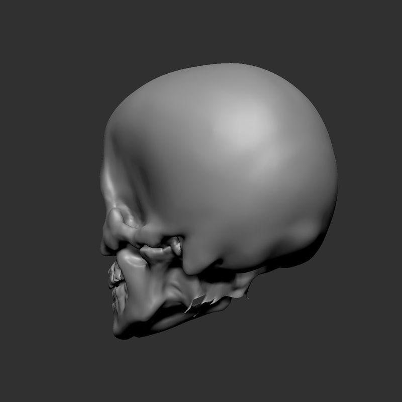 scull 3d obj