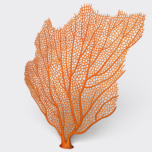 coral 3d 3ds