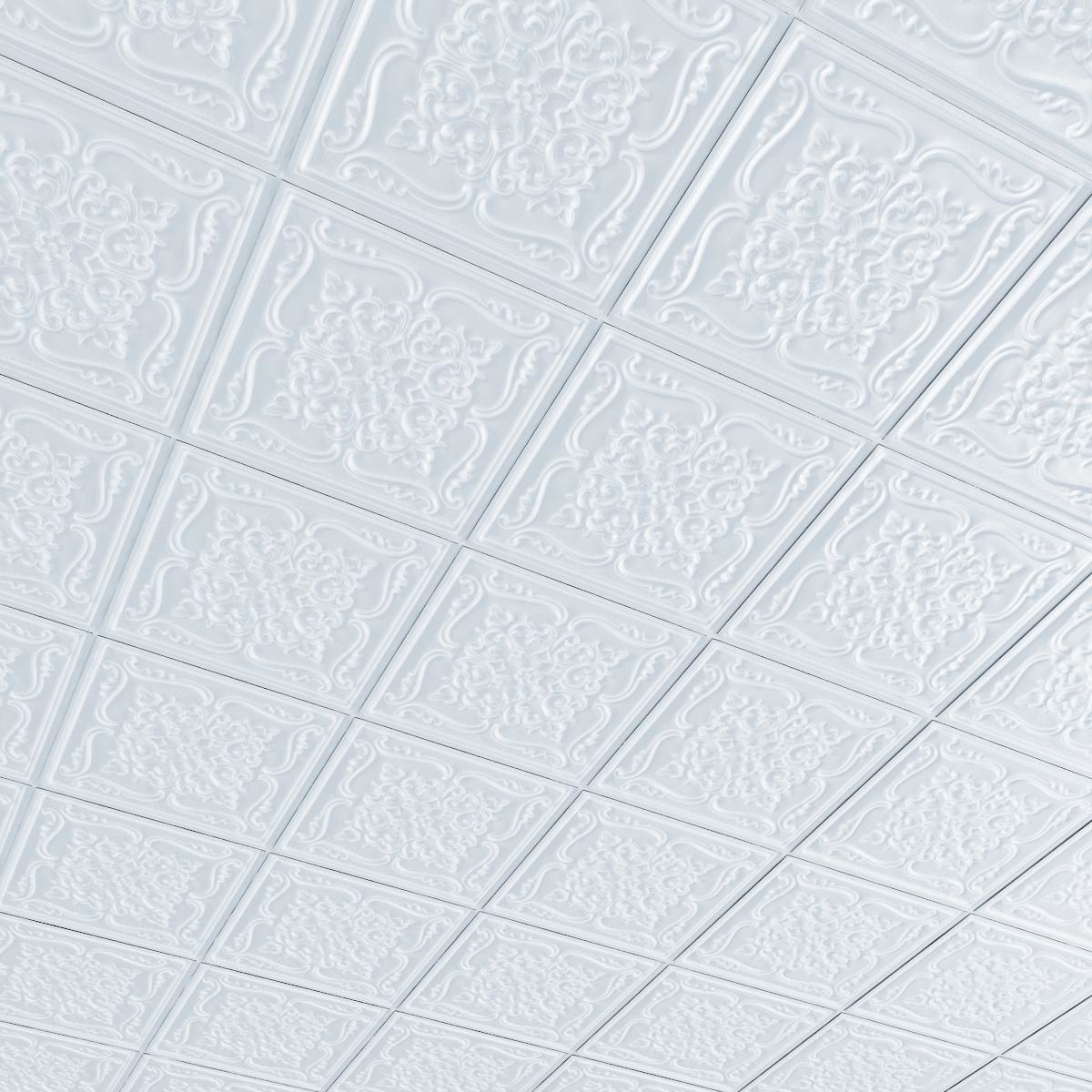 max ceiling cover pvc