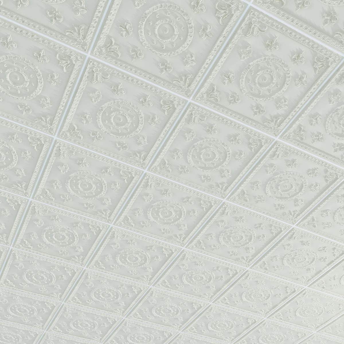 max ceiling cover pvc