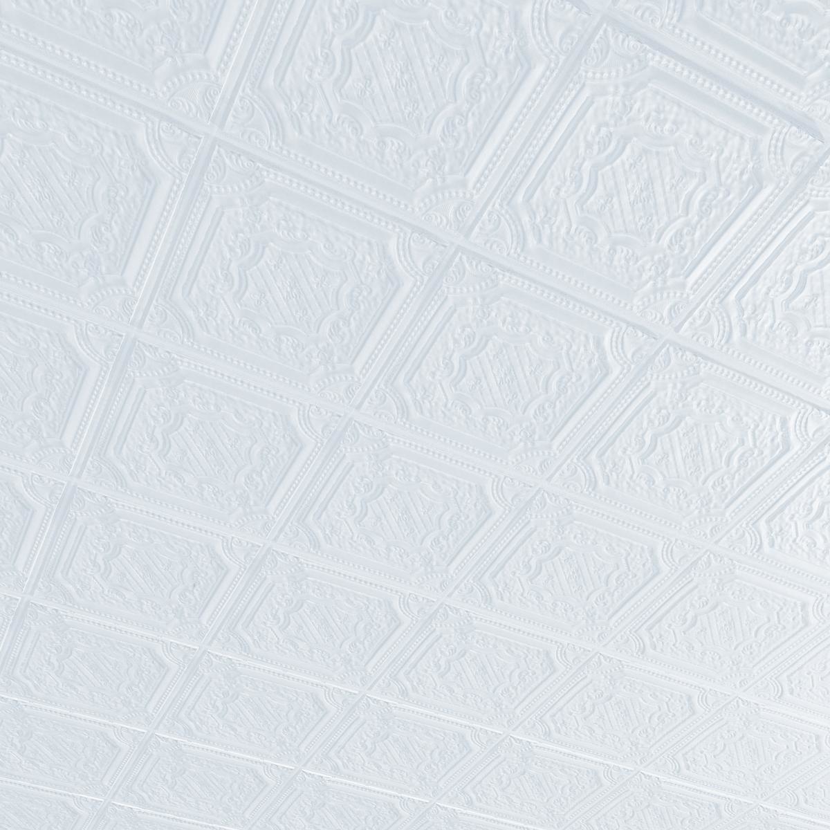 max ceiling cover pvc