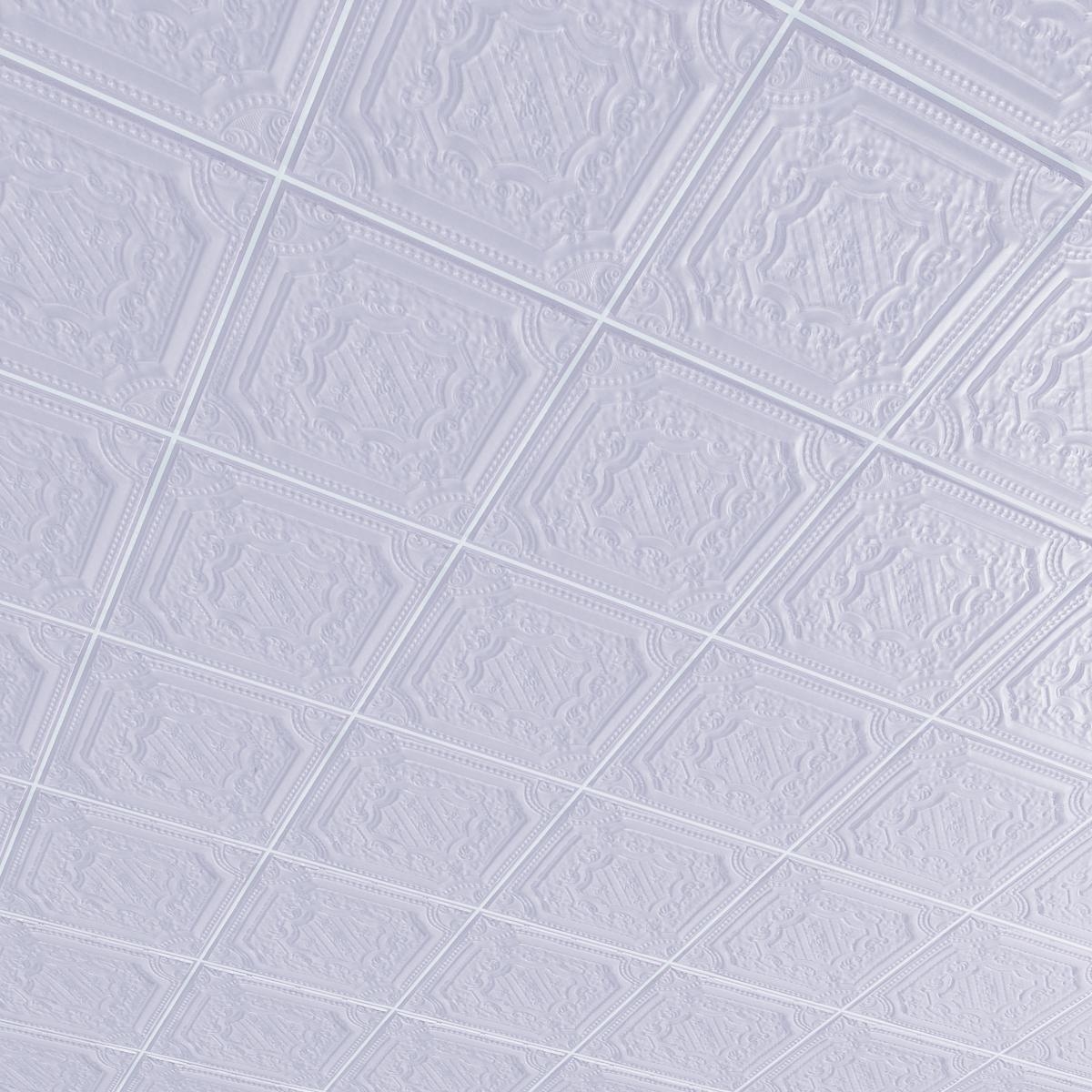 max ceiling cover pvc