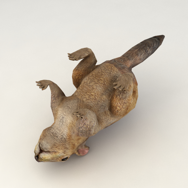 rigged chipmunk 3d obj