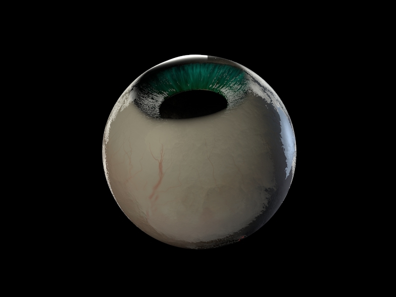 anatomically eyeball fully eye 3d model