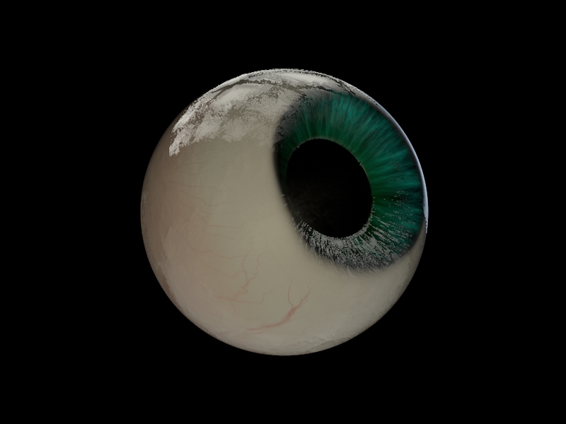 anatomically eyeball fully eye 3d model