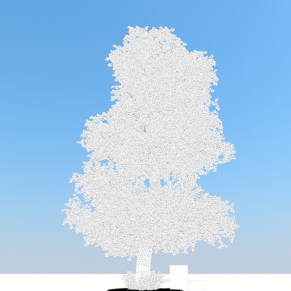 3d realistic linden lime trees