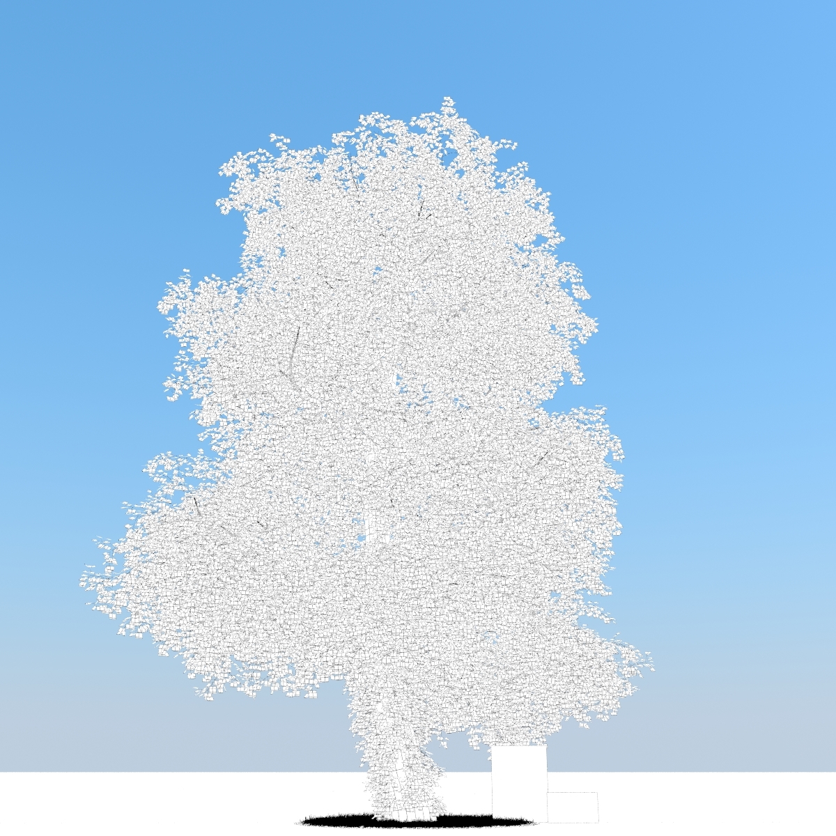 3d realistic linden lime trees