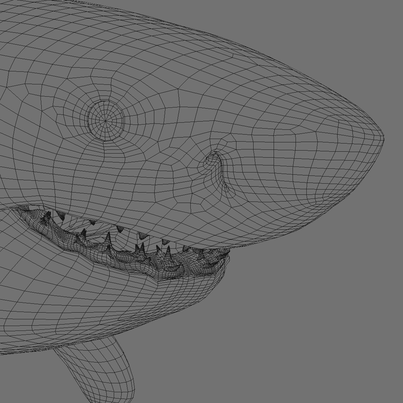c4d great white shark