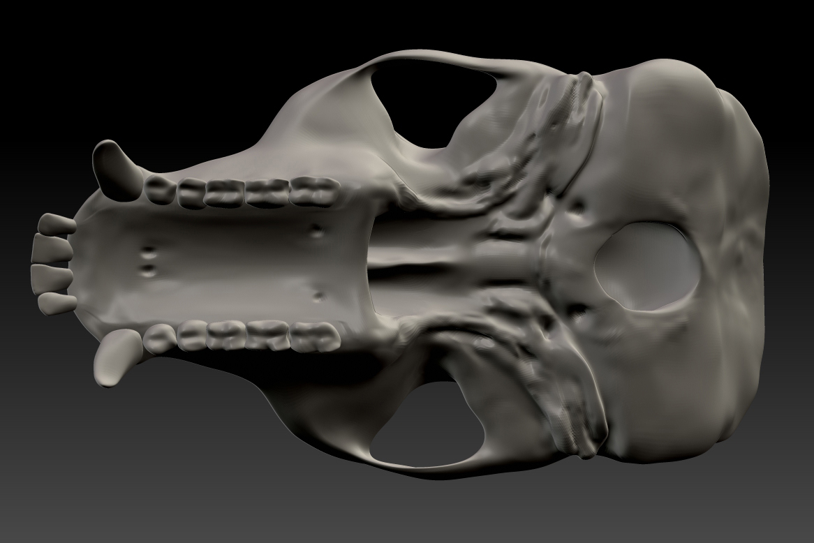 max gorilla skull