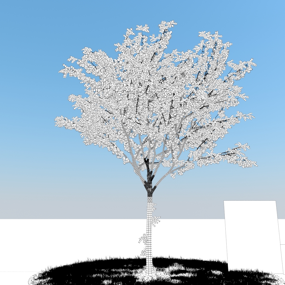 max realistic cherry trees