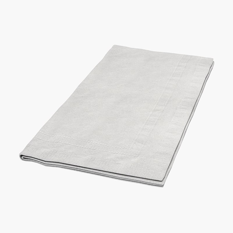 napkin 3d model