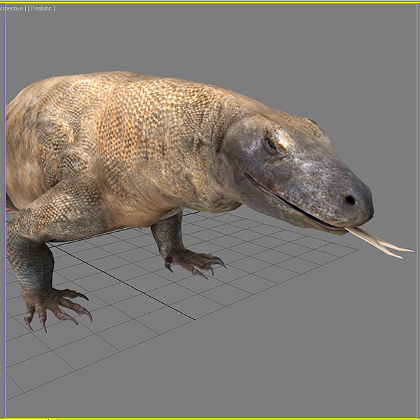 3d komodo dragon model