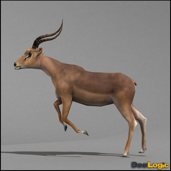 antelope rigged animations 3d max