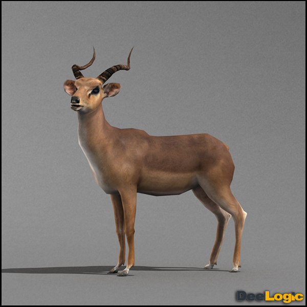 antelope rigged animations 3d max