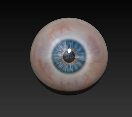 Free 3D Eye Models | TurboSquid
