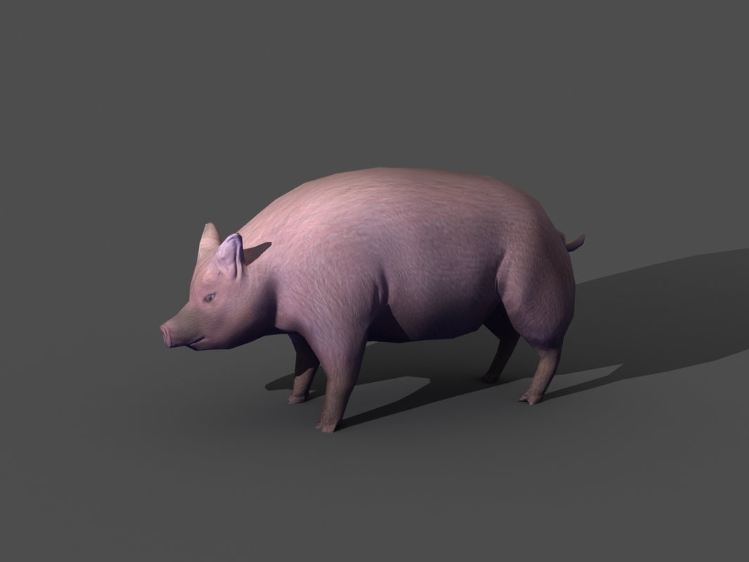 max low-poly pig animation