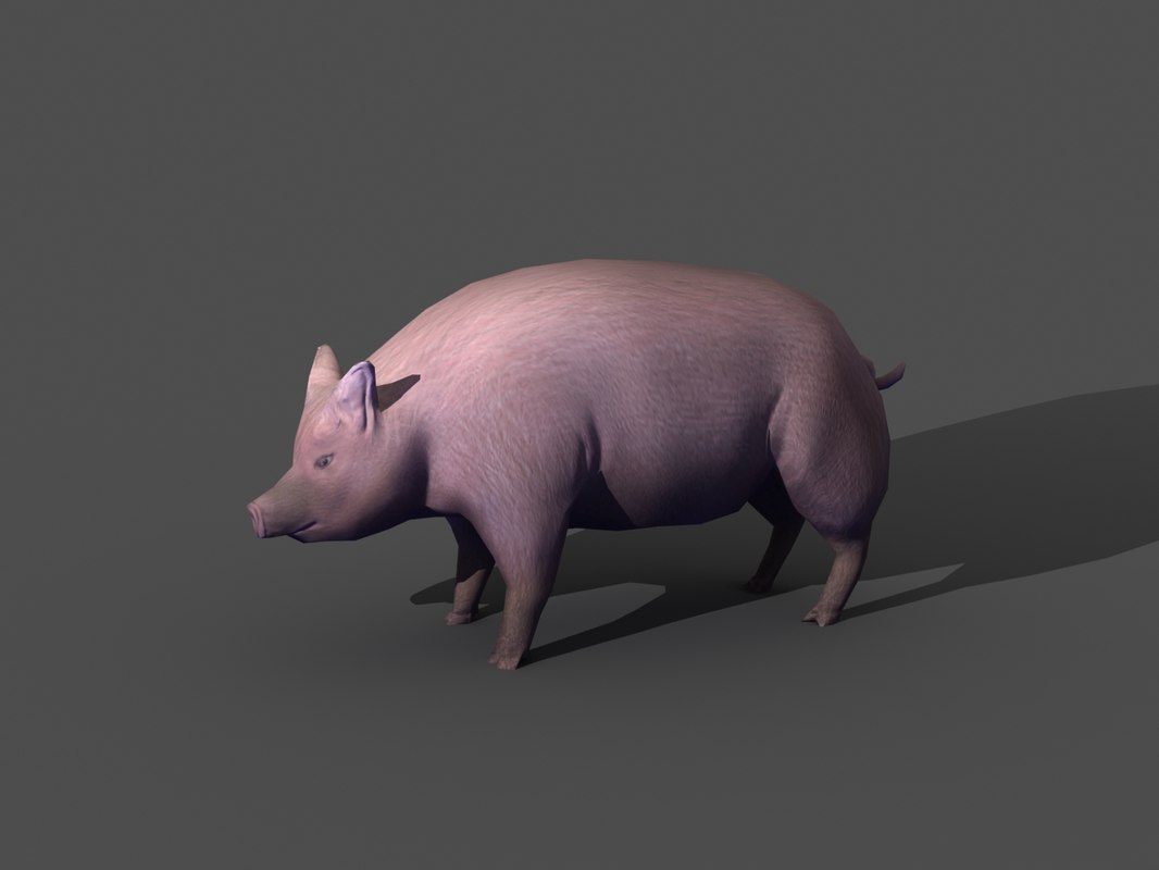 max low-poly pig animation