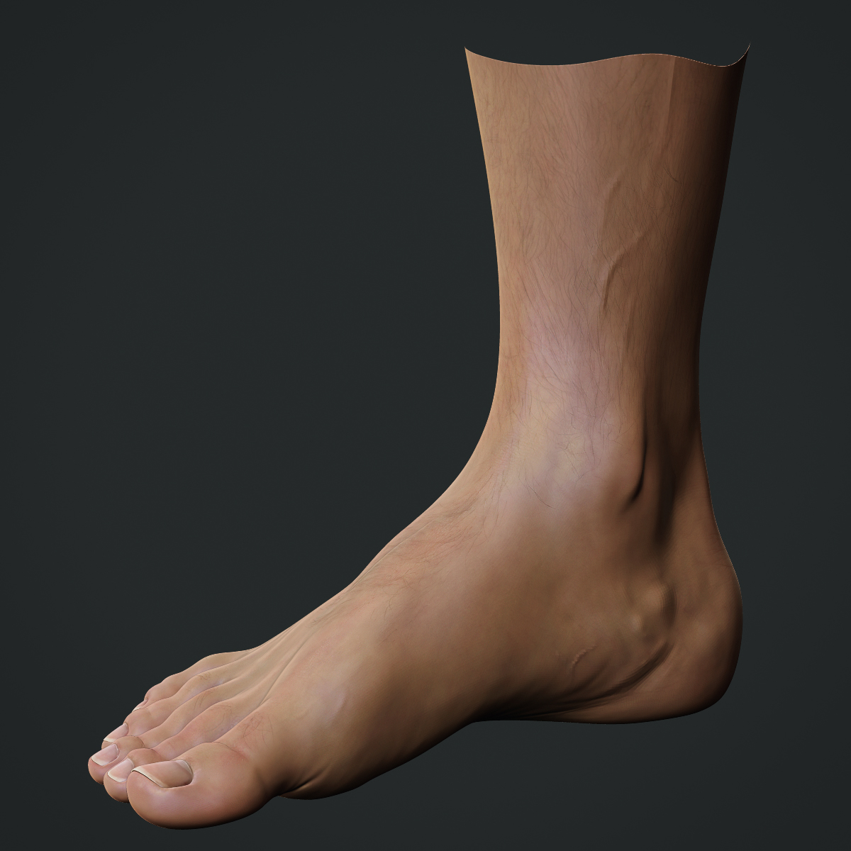 3d model realistic male foot