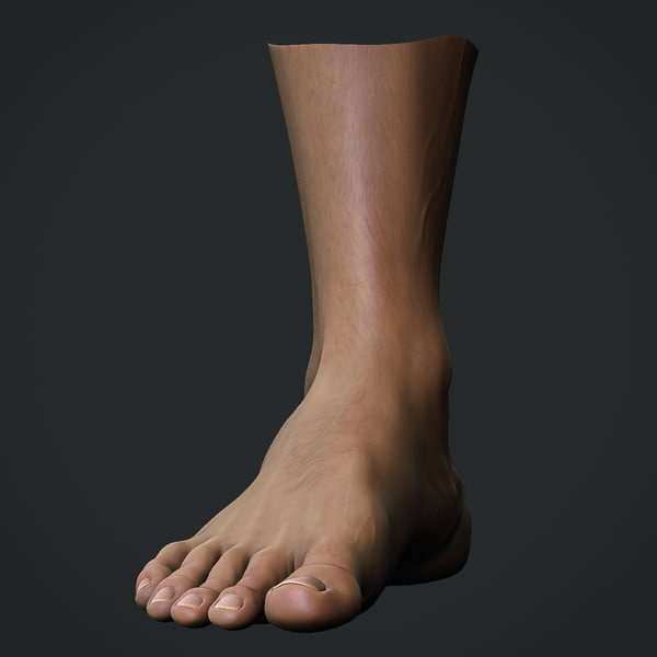 3d model realistic male foot