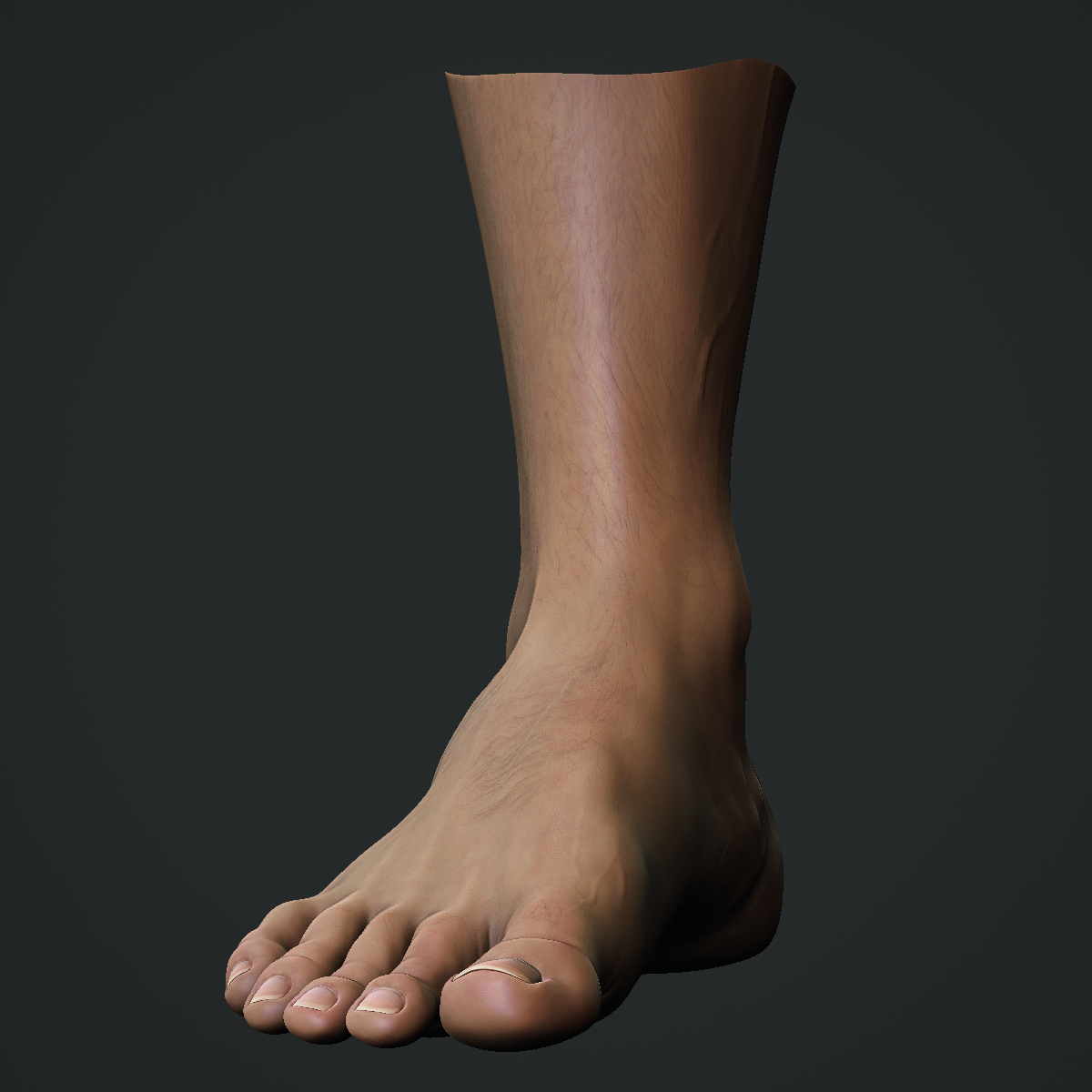3d model realistic male foot