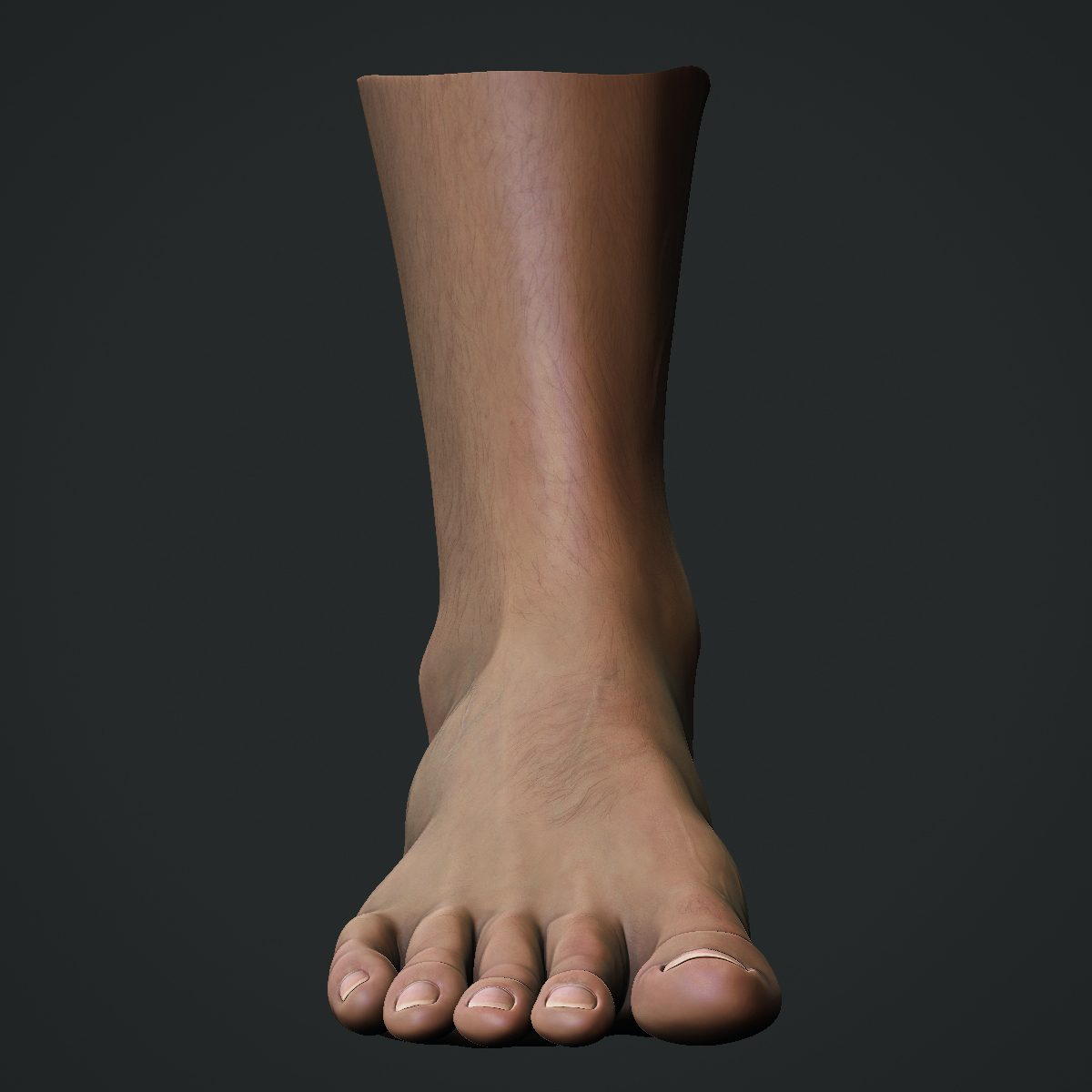 3d model realistic male foot