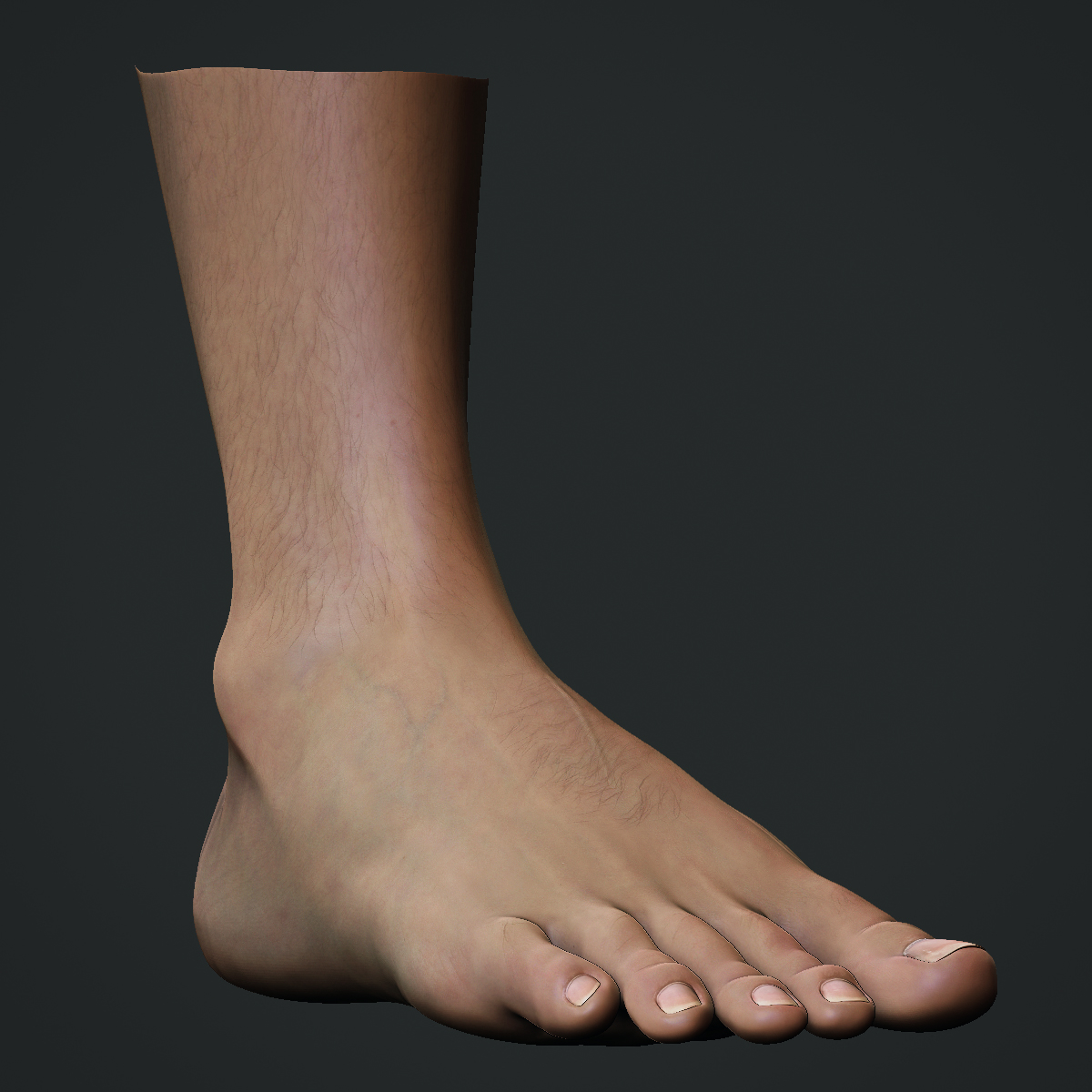 3d model realistic male foot