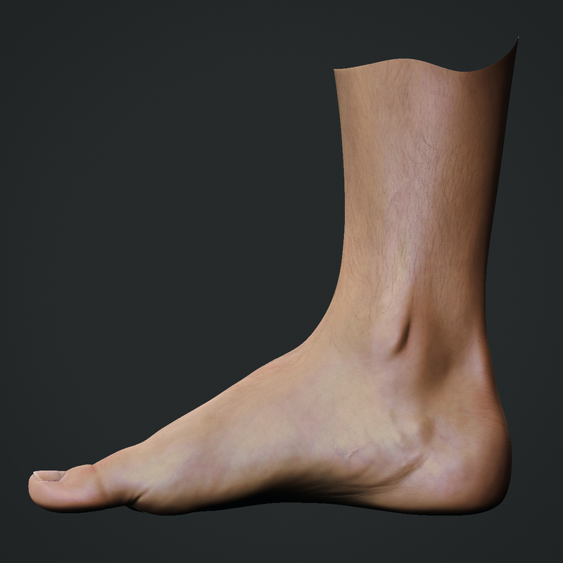 3d model realistic male foot