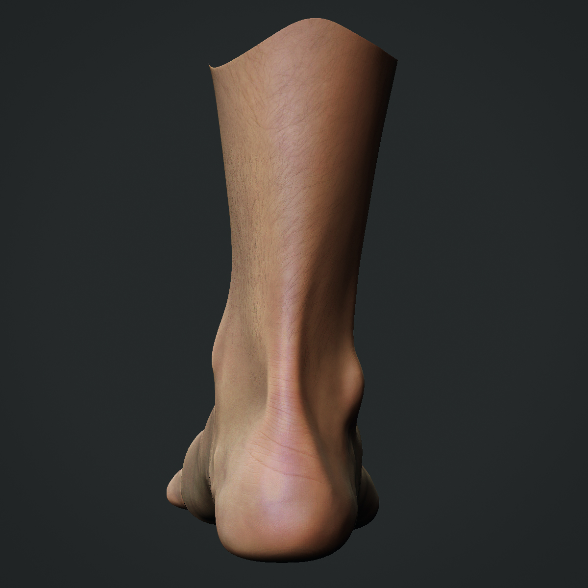 3d model realistic male foot