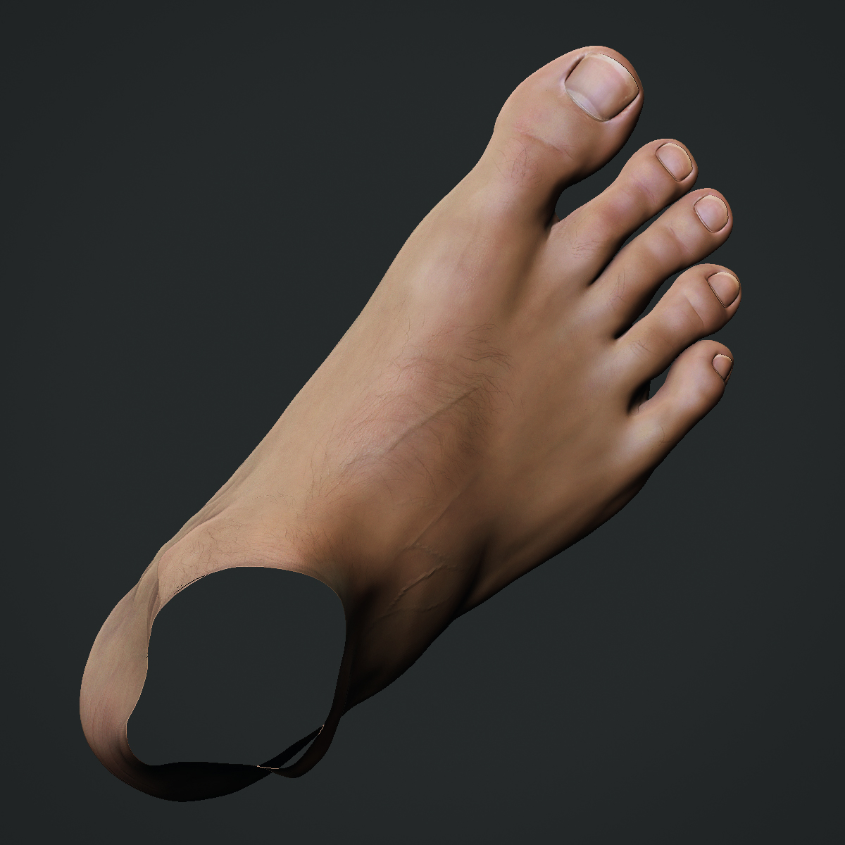 3d model realistic male foot