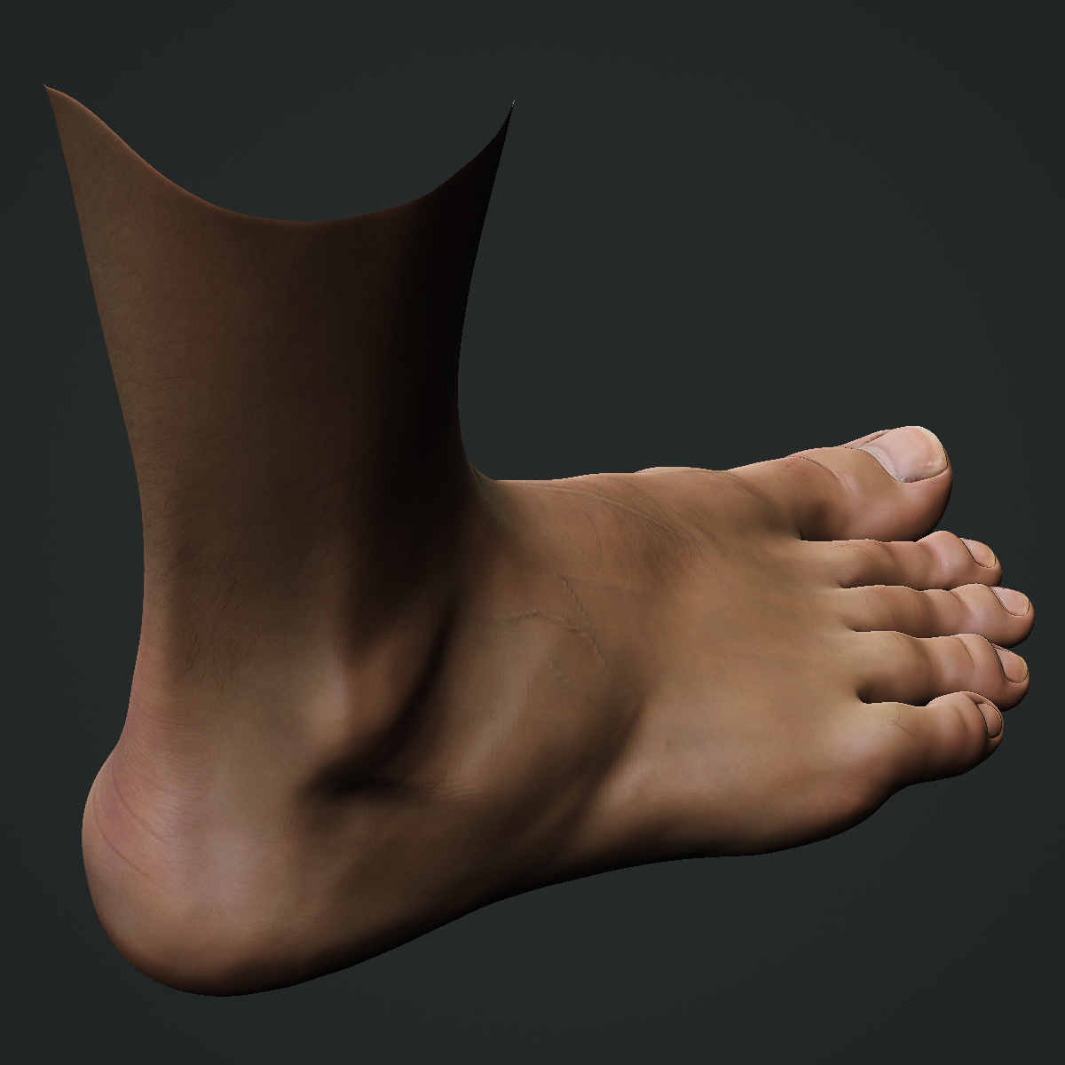 3d model realistic male foot