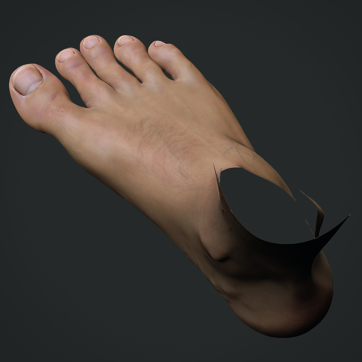3d model realistic male foot