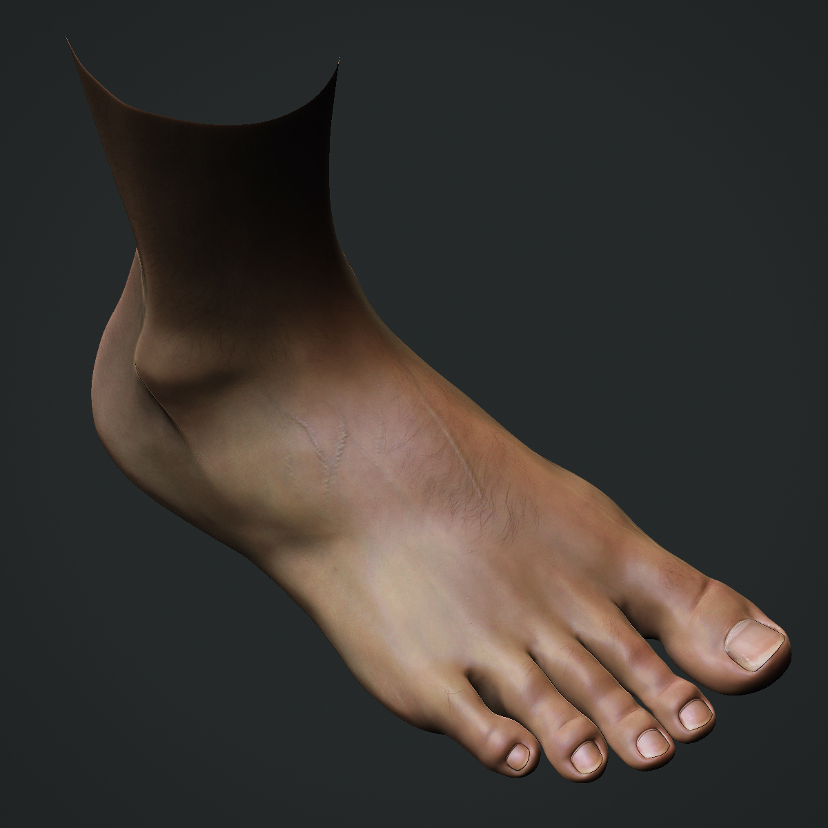 3d model realistic male foot