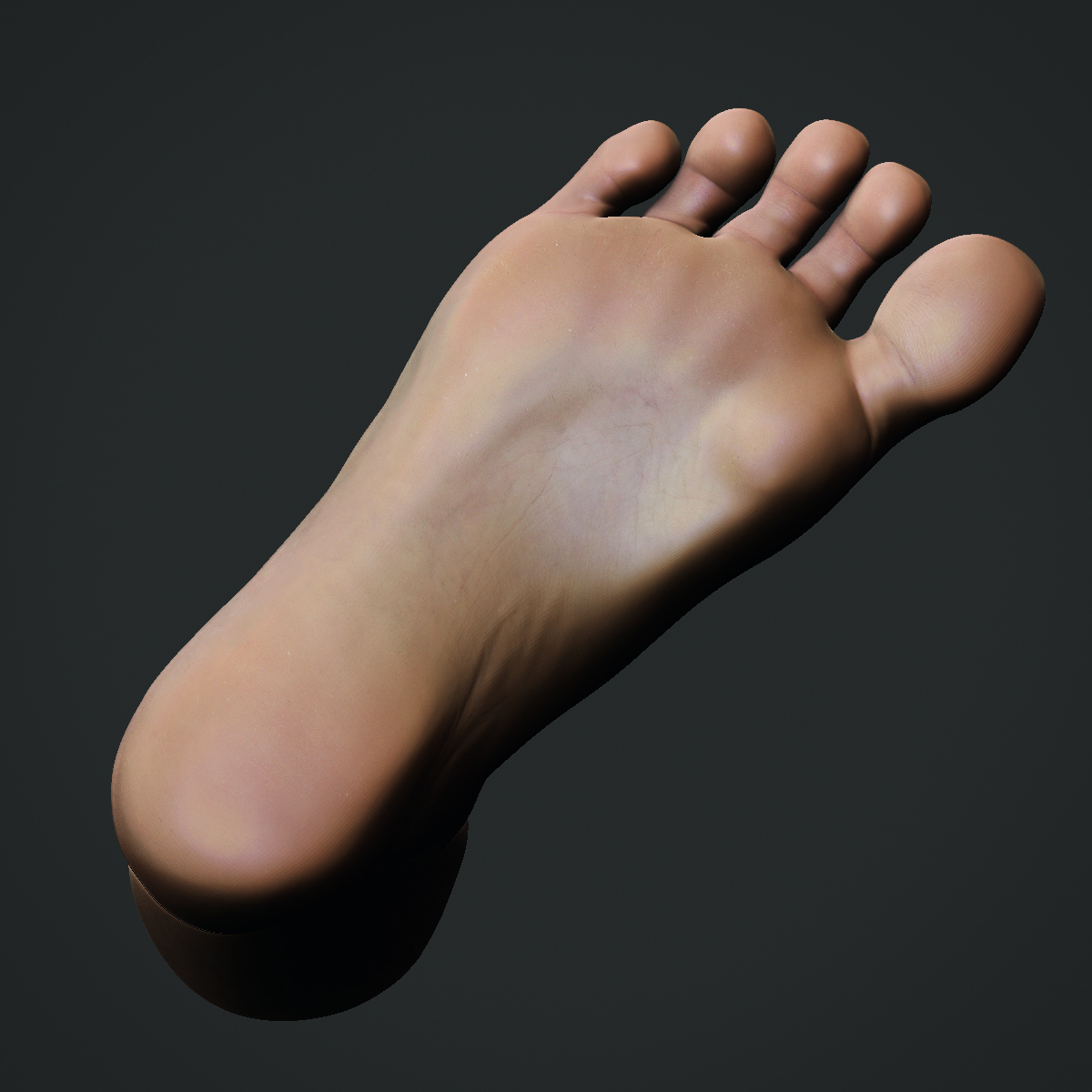 3d model realistic male foot
