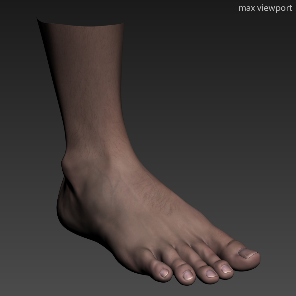 3d model realistic male foot