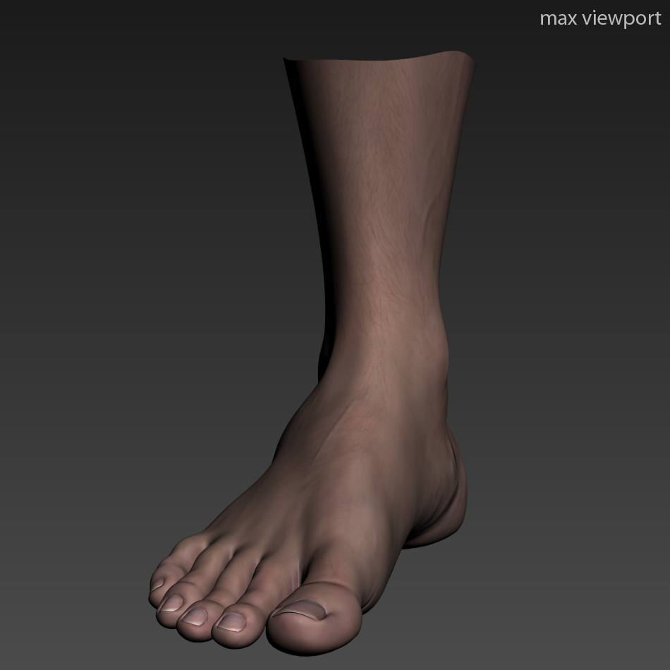 3d model realistic male foot