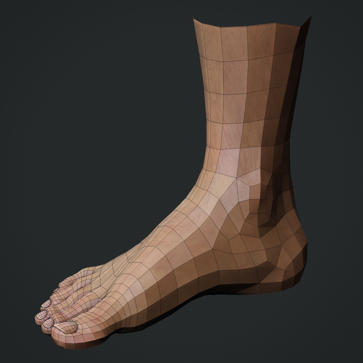 3d model realistic male foot
