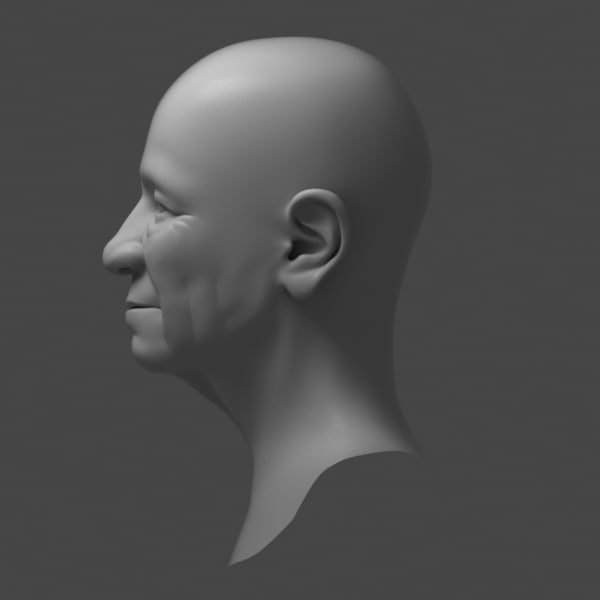 polygonal head old man 3d model