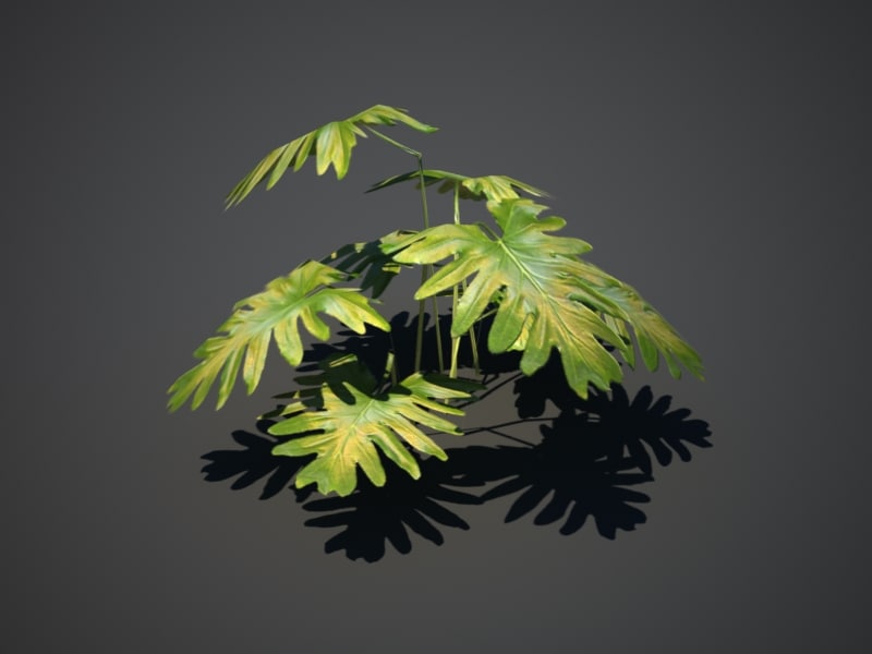 3d model tropical plant