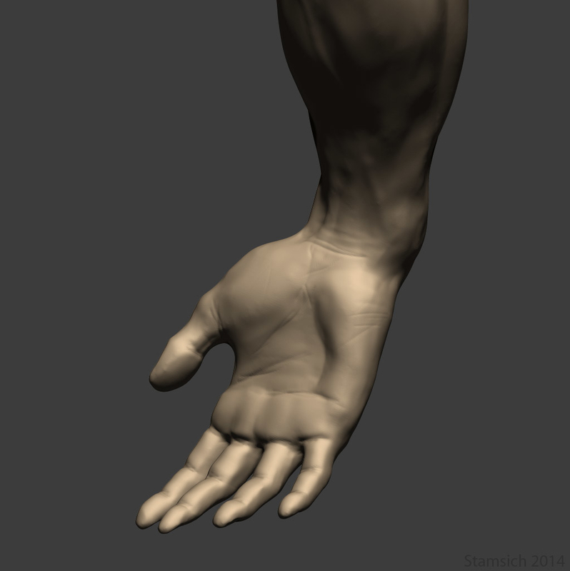 3d arm sculpt model