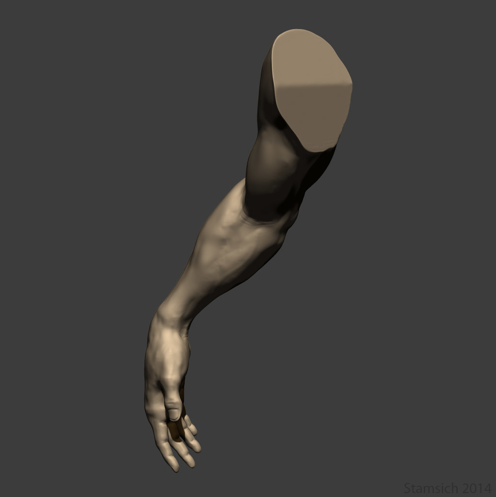 3d arm sculpt model
