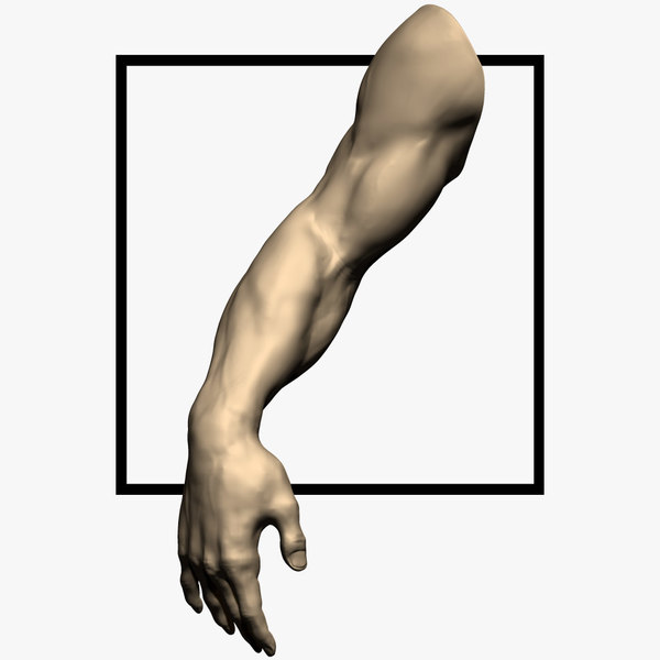 3d arm sculpt model