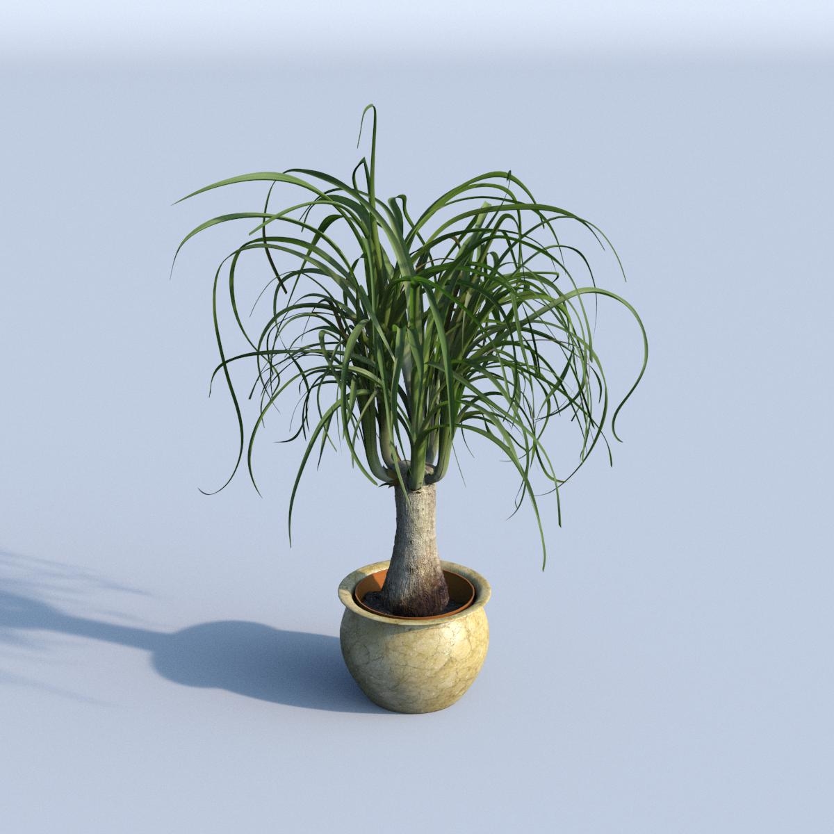 3d plant model
