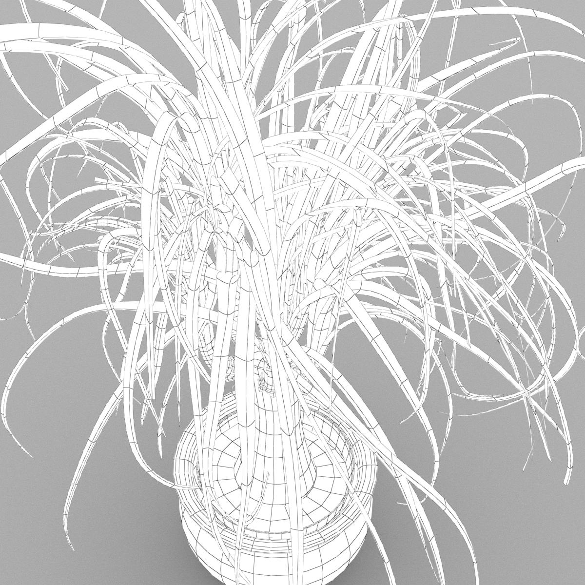 3d plant model