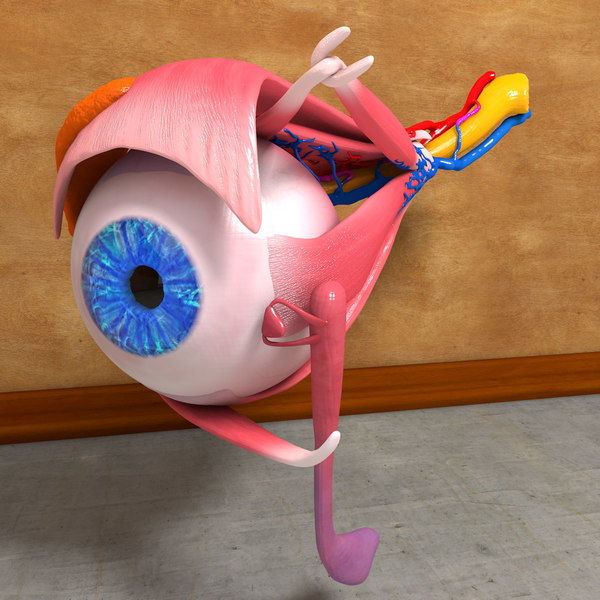 human eye 3d c4d