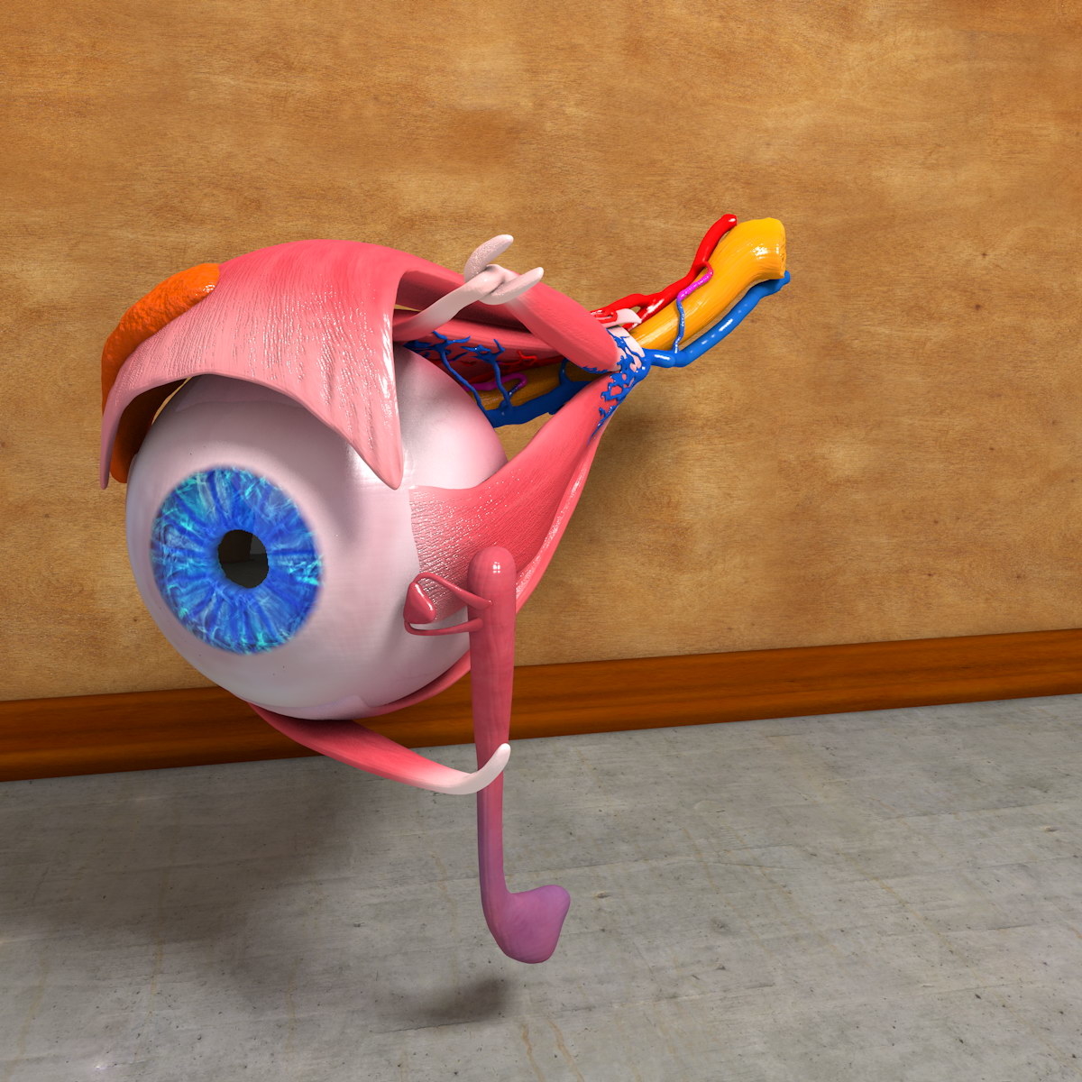 human eye 3d c4d